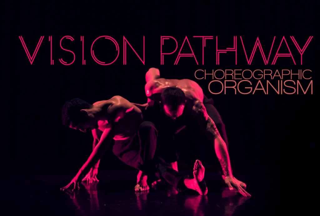 VISION PATHWAY - OKUS